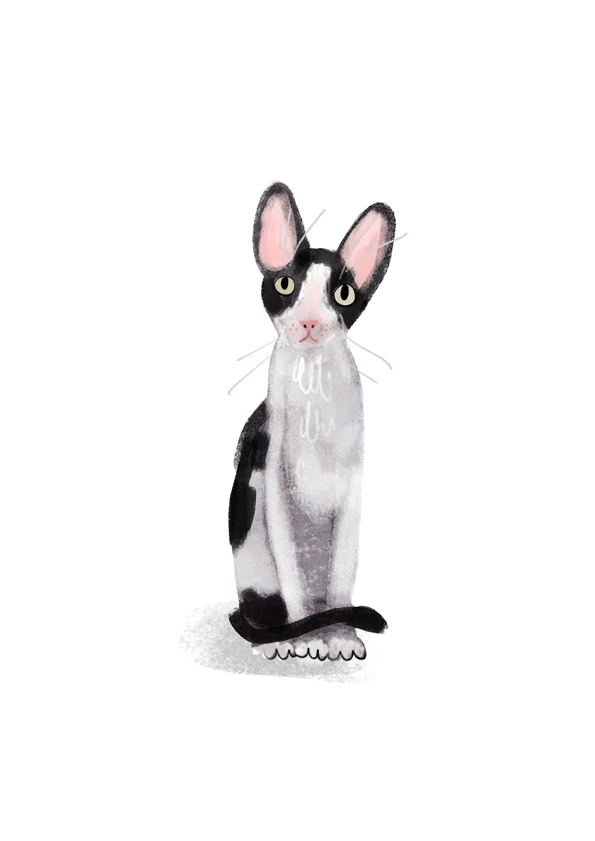 A3 A-Z Cats Alphabet Print – Susanna Banks Art